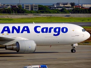 ANA, NCA 자회사化 내년 3월로 또 연기